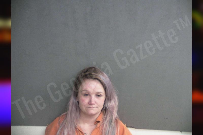 Stephanie Ashe — Twiggs County Jail Bookings