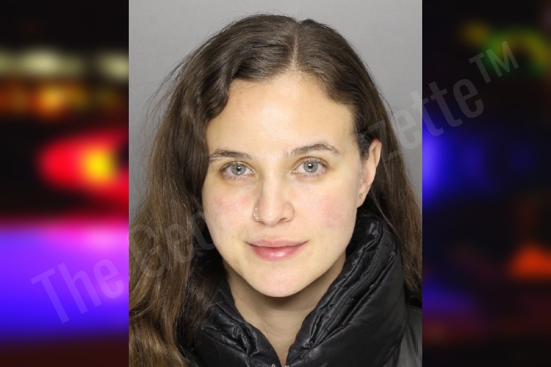 Andrea Barcina — Cobb County Jail Bookings