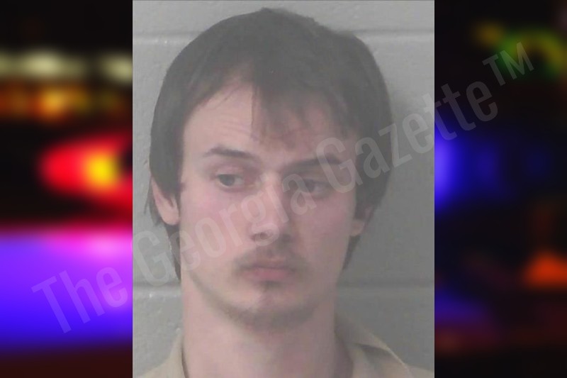 Tyler Biggs — Newton County Jail Bookings