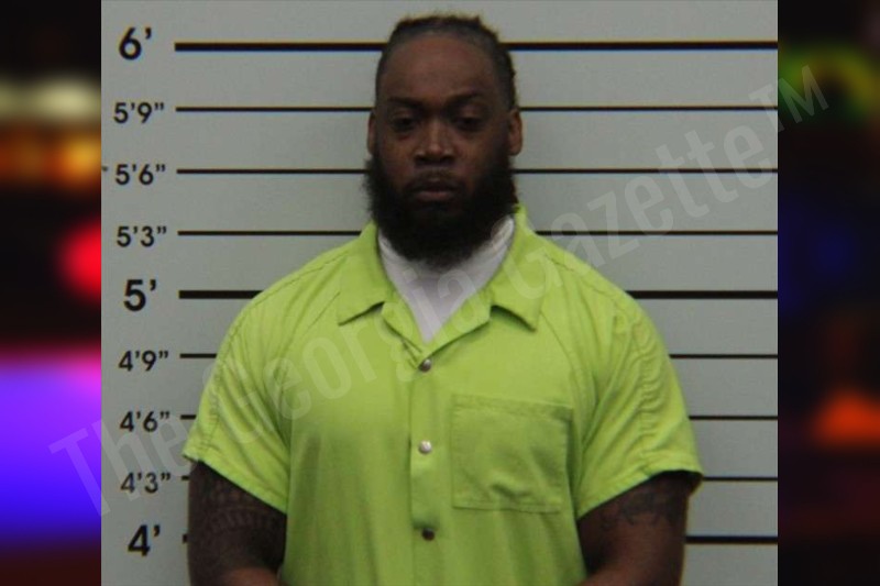 Mike Borrell — Turner County Jail Bookings