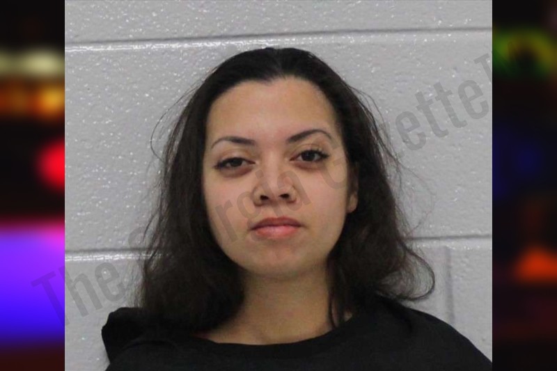 Crystal Budnik — Carroll County Jail Bookings