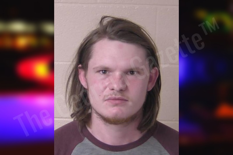 David Ballinger — Walker County Jail Bookings