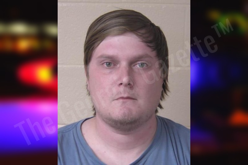 Taylor Blevins — Walker County Jail Bookings