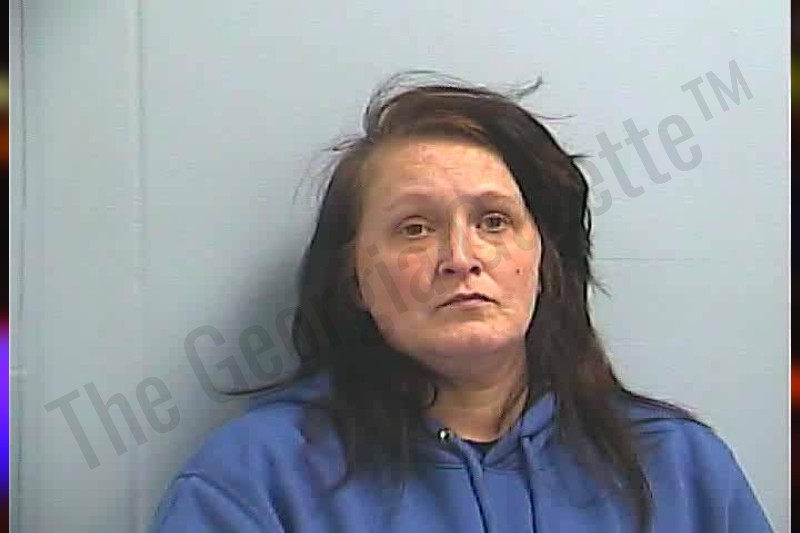 Heather Bocci — Dawson County Jail Bookings
