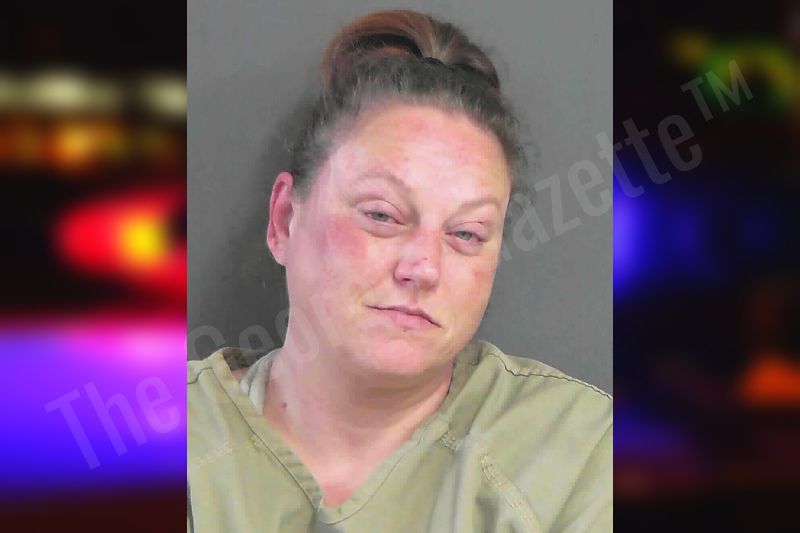 Christi Bryson — Gordon County Jail Bookings