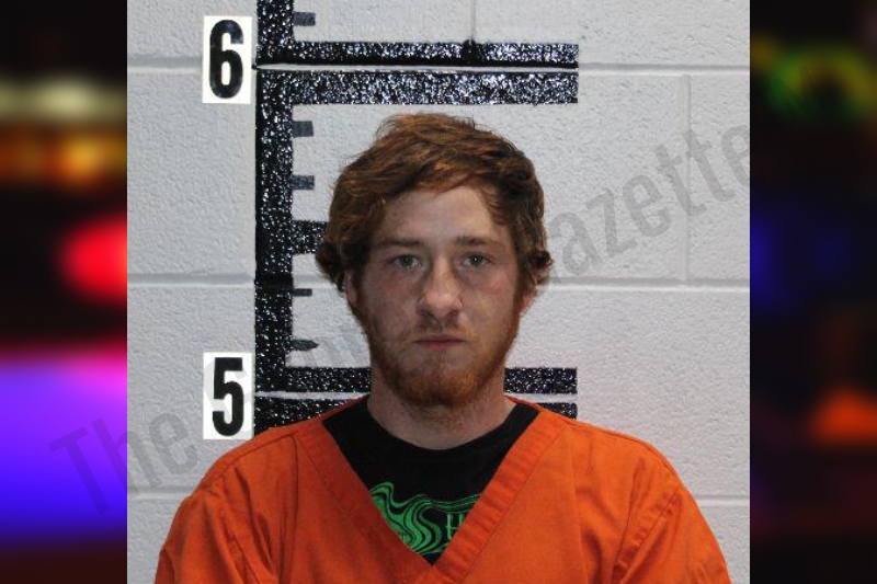 Jackey Campbell — Murray County Jail Bookings