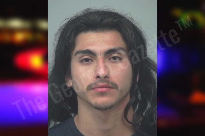 Alexander Delgado Loeza — Gwinnett County Jail Bookings