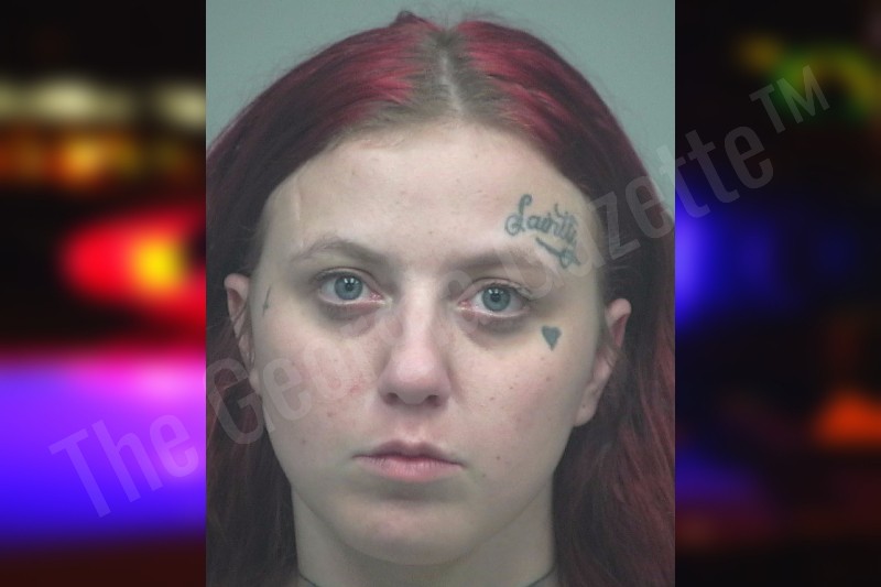 Tyler Denton — Gwinnett County Jail Bookings
