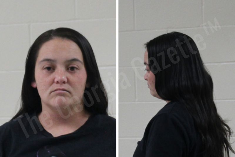 Chelsea Dow — Houston County Jail Bookings