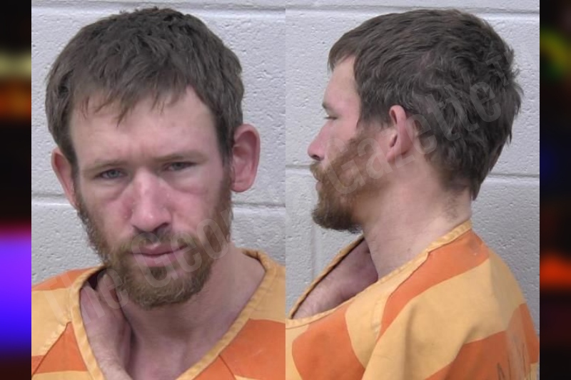 David Downer — Paulding County Jail Bookings