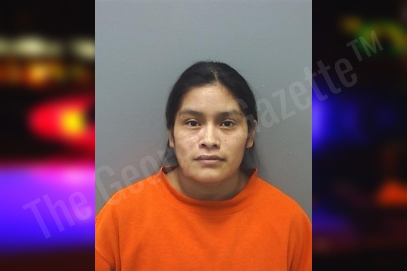 Beatriz Fernandez-Ramirez — Cherokee County Jail Bookings