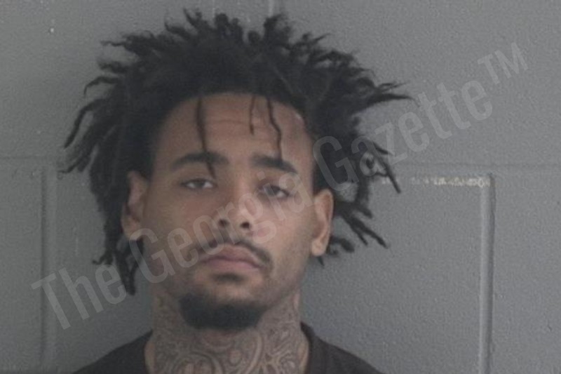 Bryan Fitzpatrick — Brantley County Jail Bookings