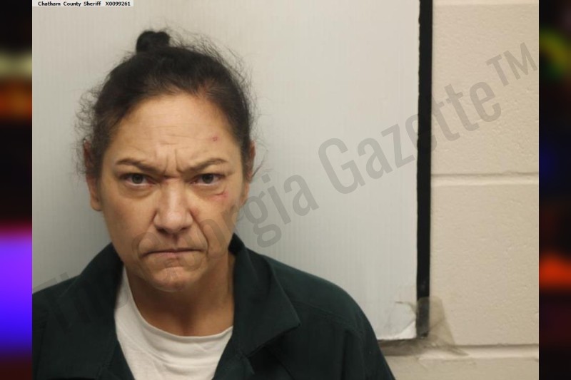 Tabitha Fell-Bailey — Chatham County Jail Bookings