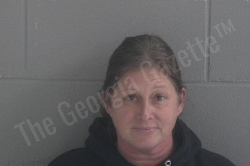 Heather Gavitt — Brantley County Jail Bookings