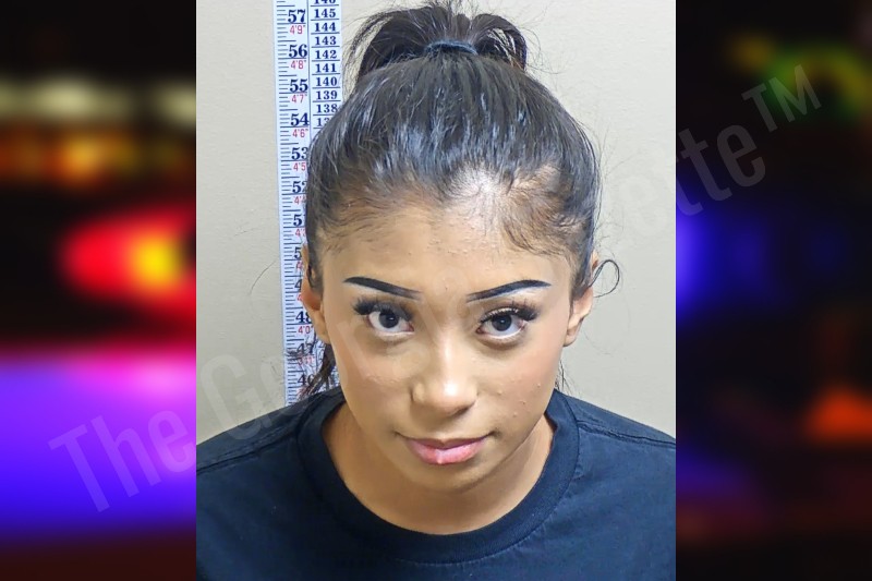 Maria Guzman — Gwinnett County Jail Bookings