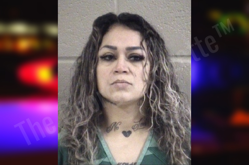 Vanessa Garcia — Whitfield County Jail Bookings
