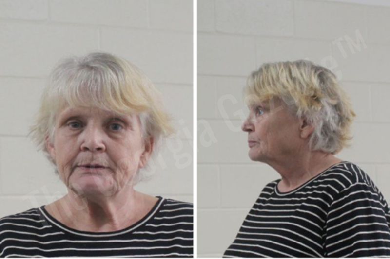 Dorinda Gross — Houston County Jail Bookings