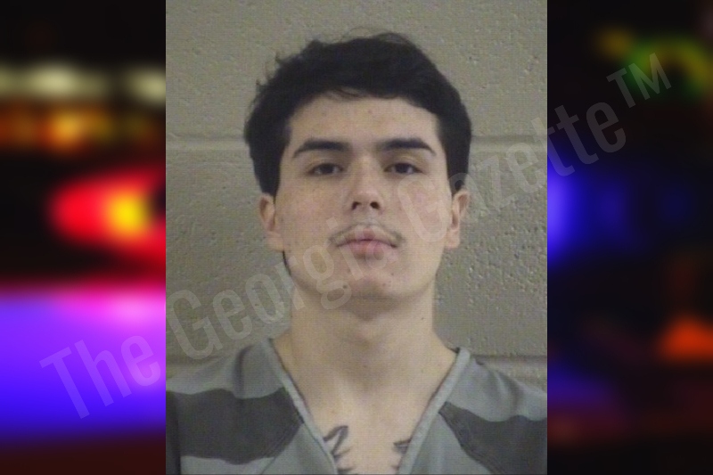 Brandon Guzman — Whitfield County Jail Bookings