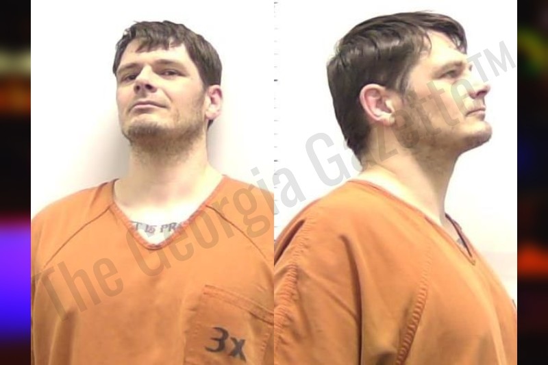 Timothy Hahn — Clarke County Jail Bookings