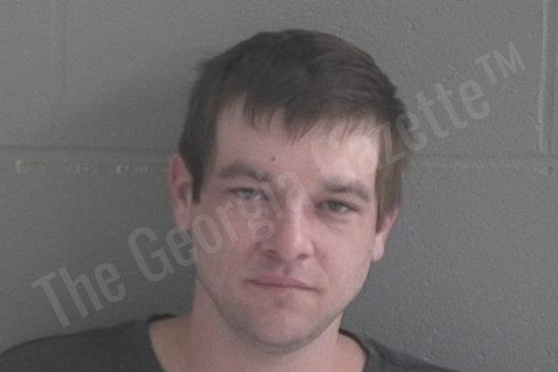 Dillon Hardwick — Brantley County Jail Bookings