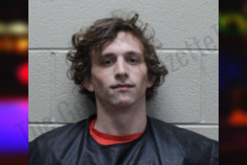 Travis Hicks — Haralson County Jail Bookings