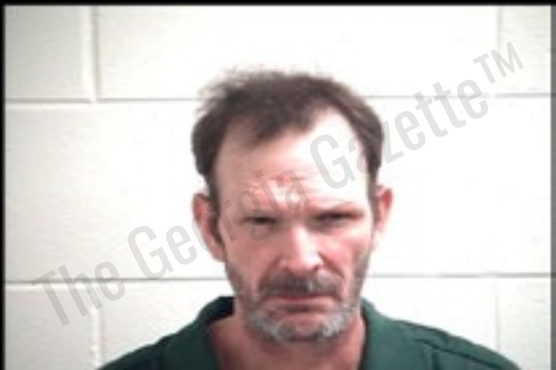 Michael Holloman — Henry County Jail Bookings