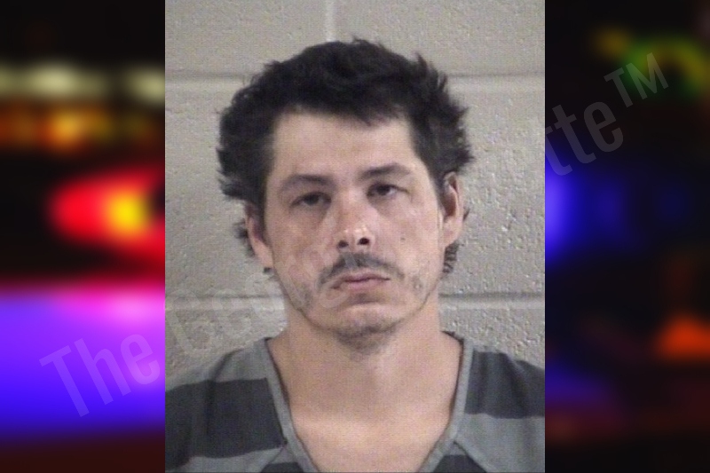 Daniel Hedgepath — Whitfield County Jail Bookings