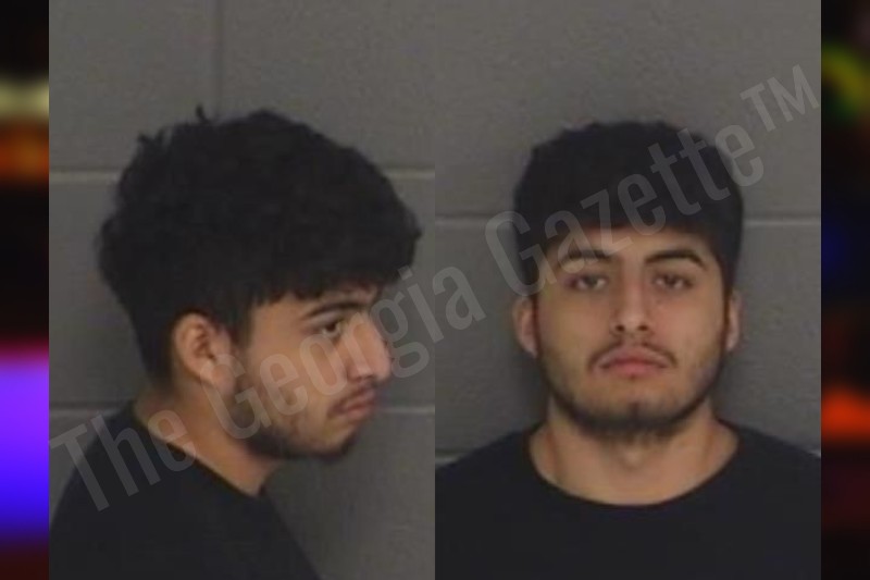 Barrow County Jail Bookings – Page 7 – The Georgia Gazette