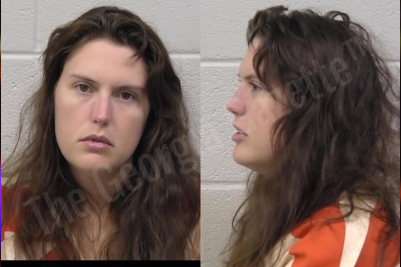 Kendall Hite — Paulding County Jail Bookings