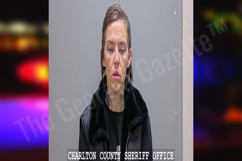 Amber Johnson — Charlton County Jail Bookings