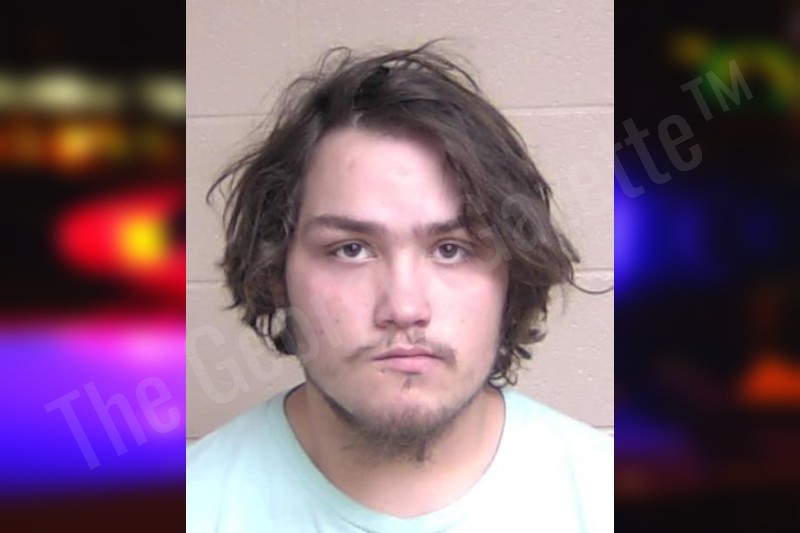 Ruben Johnson — Walker County Jail Bookings