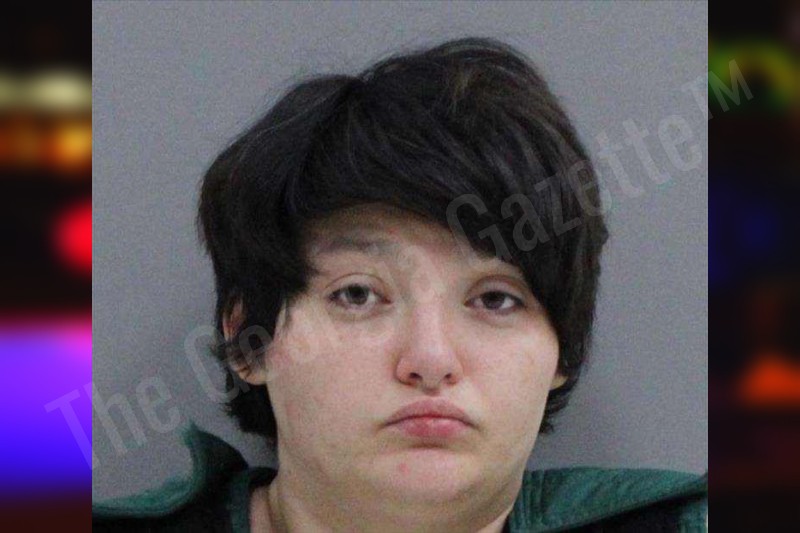 Amy Ledford — Rabun County Jail Bookings
