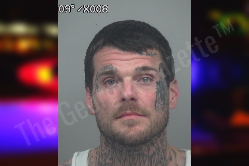 Matthew Lowell — Gwinnett County Jail Bookings