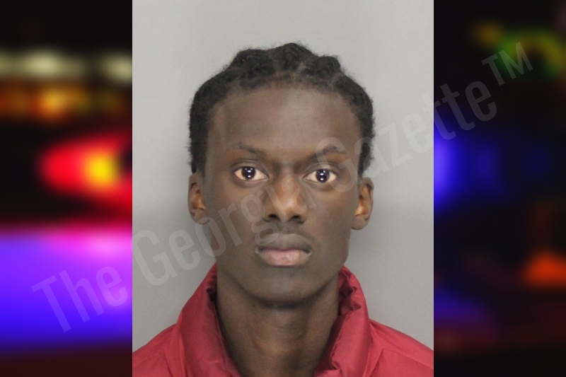 Cheikh Ly — Cobb County Jail Bookings