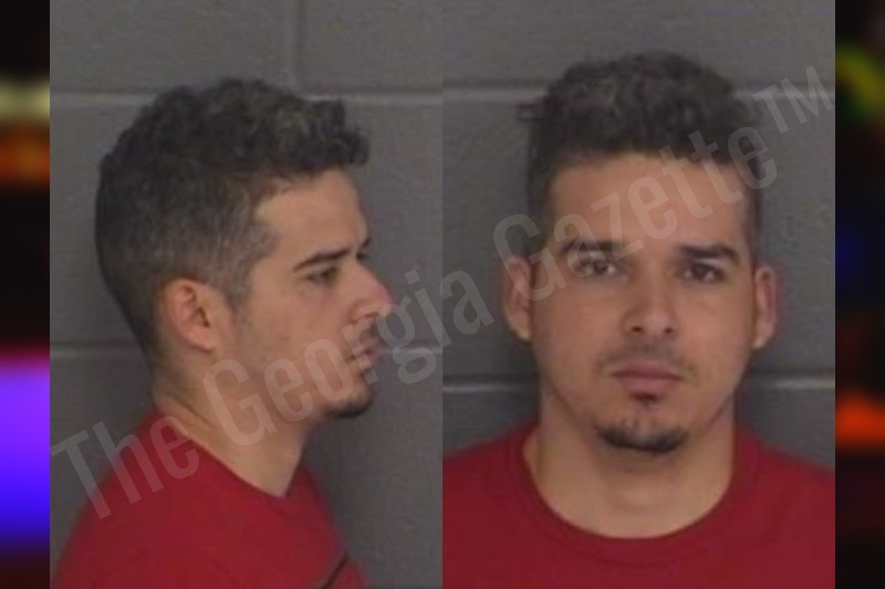 Larry Leal — Barrow County Jail Bookings