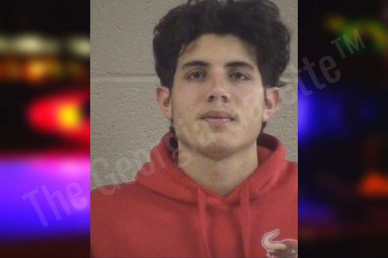 Nelson Leon-Rodriguez — Whitfield County Jail Bookings