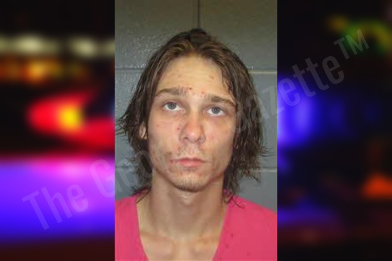 Michael Logan — Lee County Jail Bookings