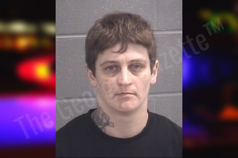 Amber Long — Spalding County Jail Bookings