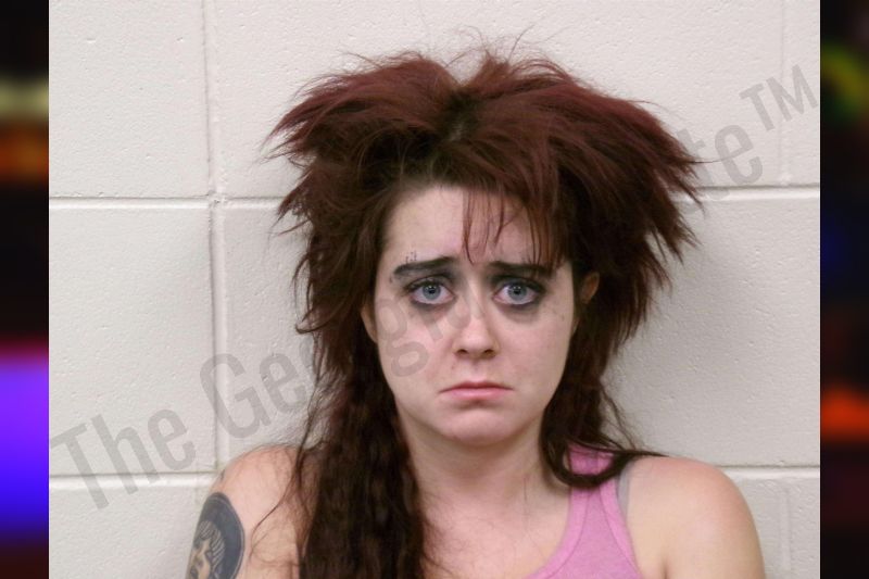 Stephanie Lowery — Bulloch County Jail Bookings