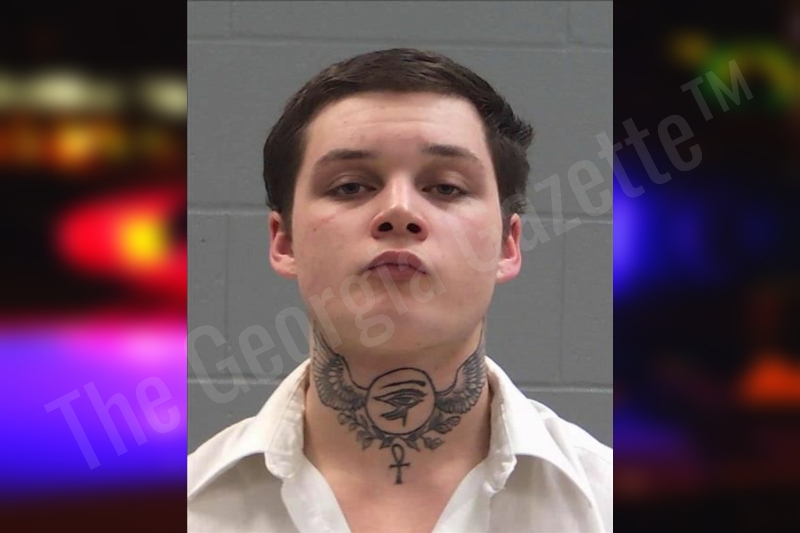 Ayden Moore — Baldwin County Jail Bookings