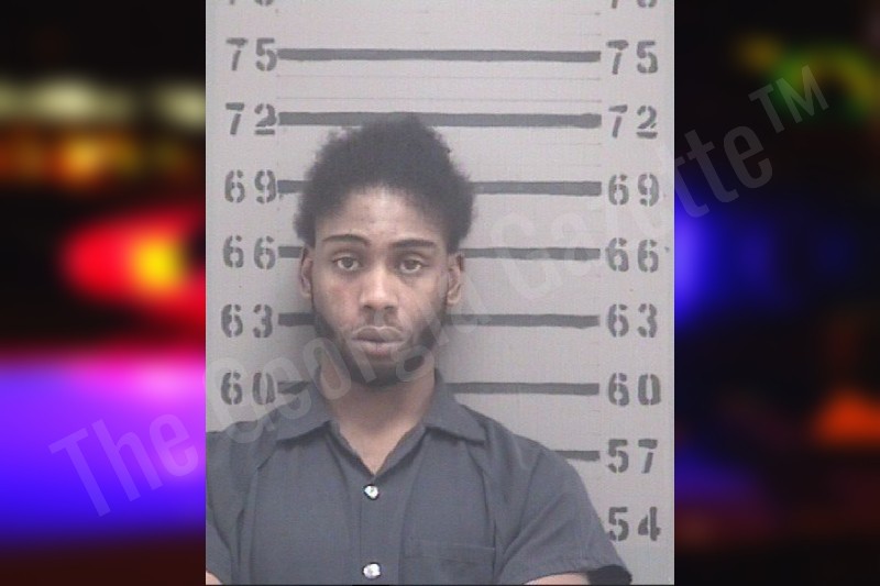 Devin Mann — Dougherty County Jail Bookings
