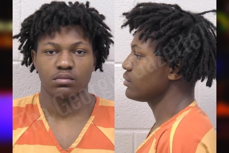 Ryan McRae — Paulding County Jail Bookings