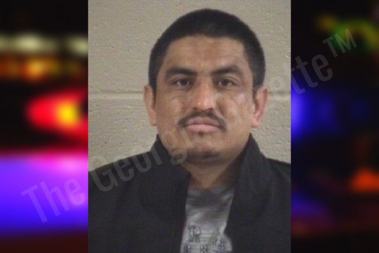 Whitfield County Jail Bookings – The Georgia Gazette