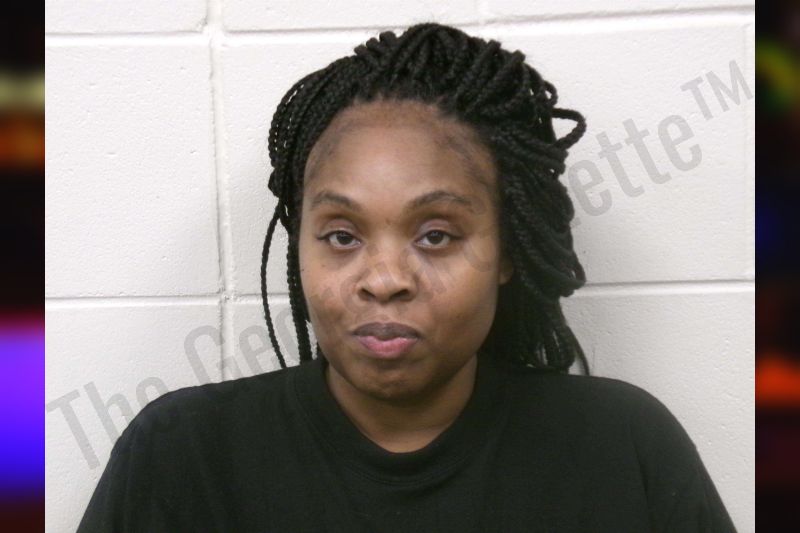Stephanie Moukoro — Bulloch County Jail Bookings