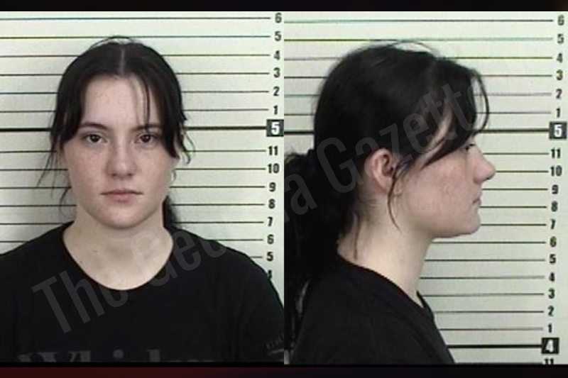 Harley Murphy — Camden County Jail Bookings