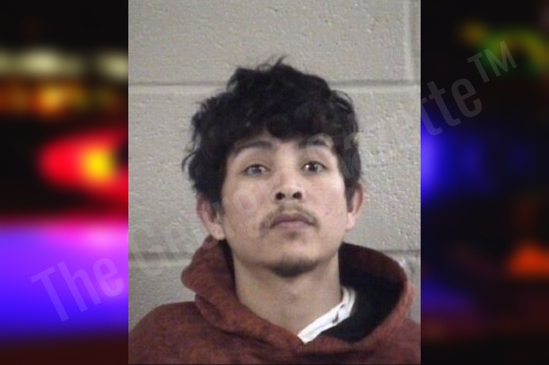 Alan Ortiz-Alonso — Whitfield County Jail Bookings