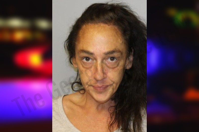 Nancy Payne — Hall County Jail Bookings