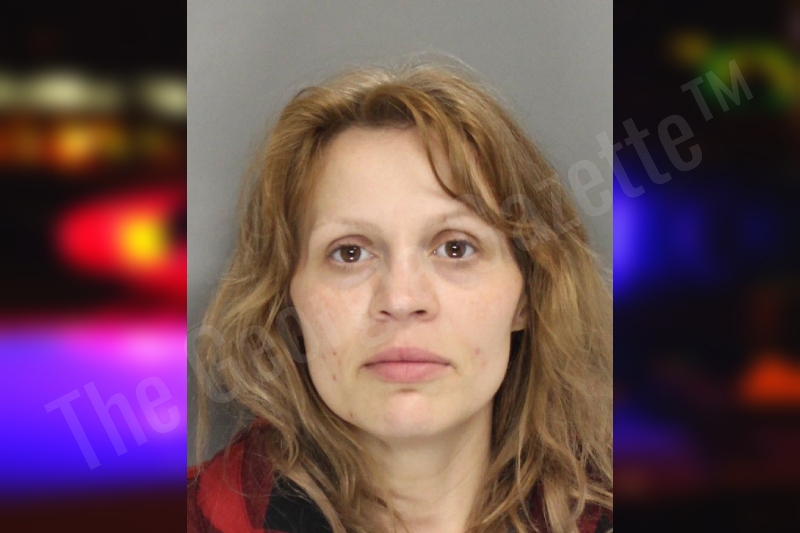 Allison Pena — Cobb County Jail Bookings