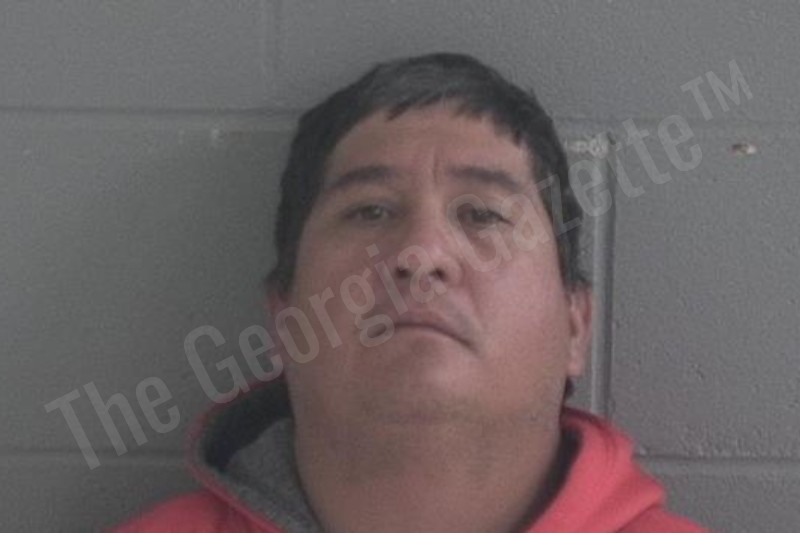 Jonathan Pineda Roa — Brantley County Jail Bookings
