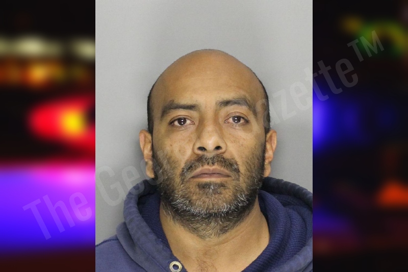 David Polo — Cobb County Jail Bookings